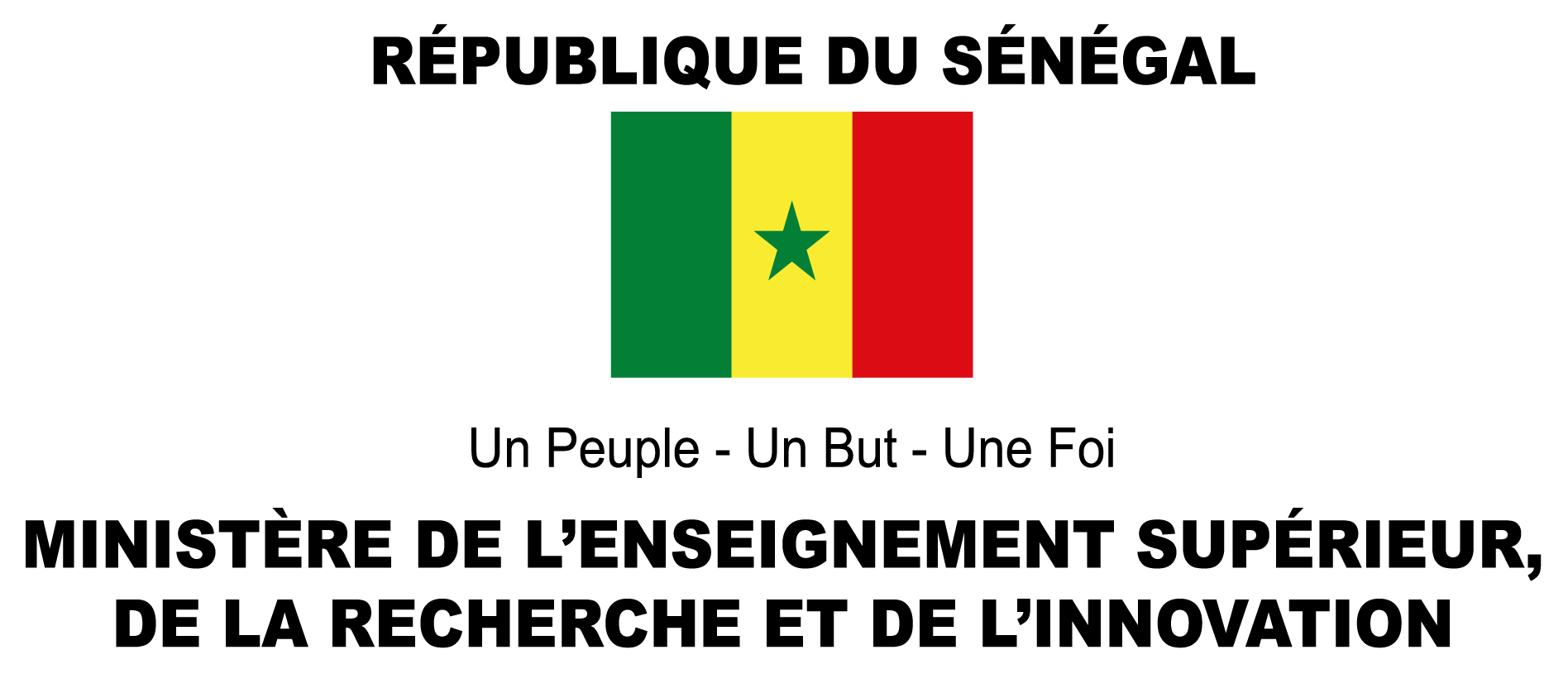 Accueil | Licence MASN